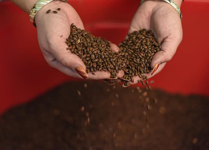 She Brews: Jessica Fierro of Atrevida Beer Company - Springsmag ...