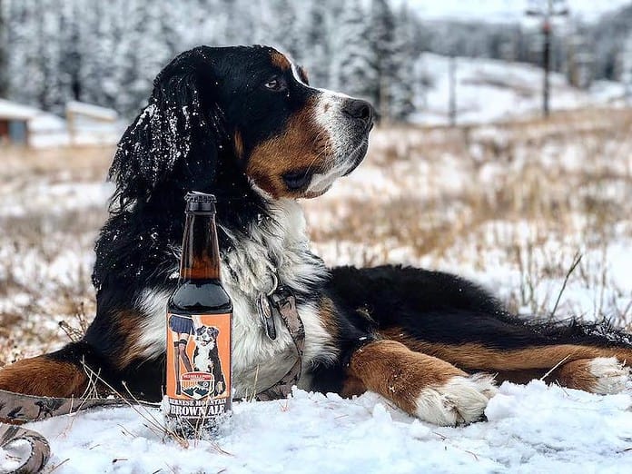 Parker the Snow Dog Lives the Deluxe Dog’s Life - Springsmag Colorado ...
